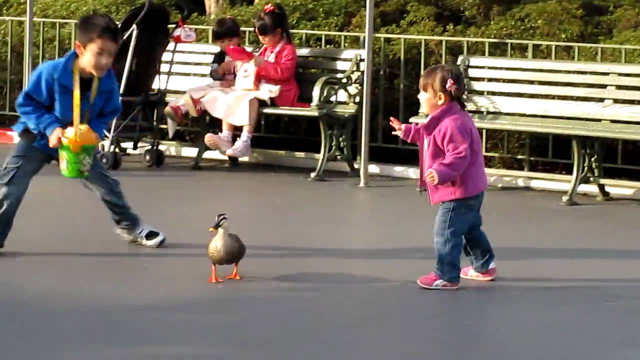 Kids chasing a duck - YouTube