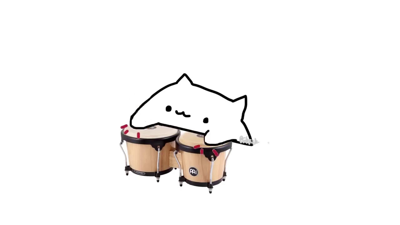 here is an original bongo cat - YouTube