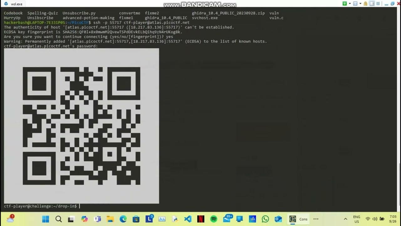 Scan Surprise PicoCTF - YouTube