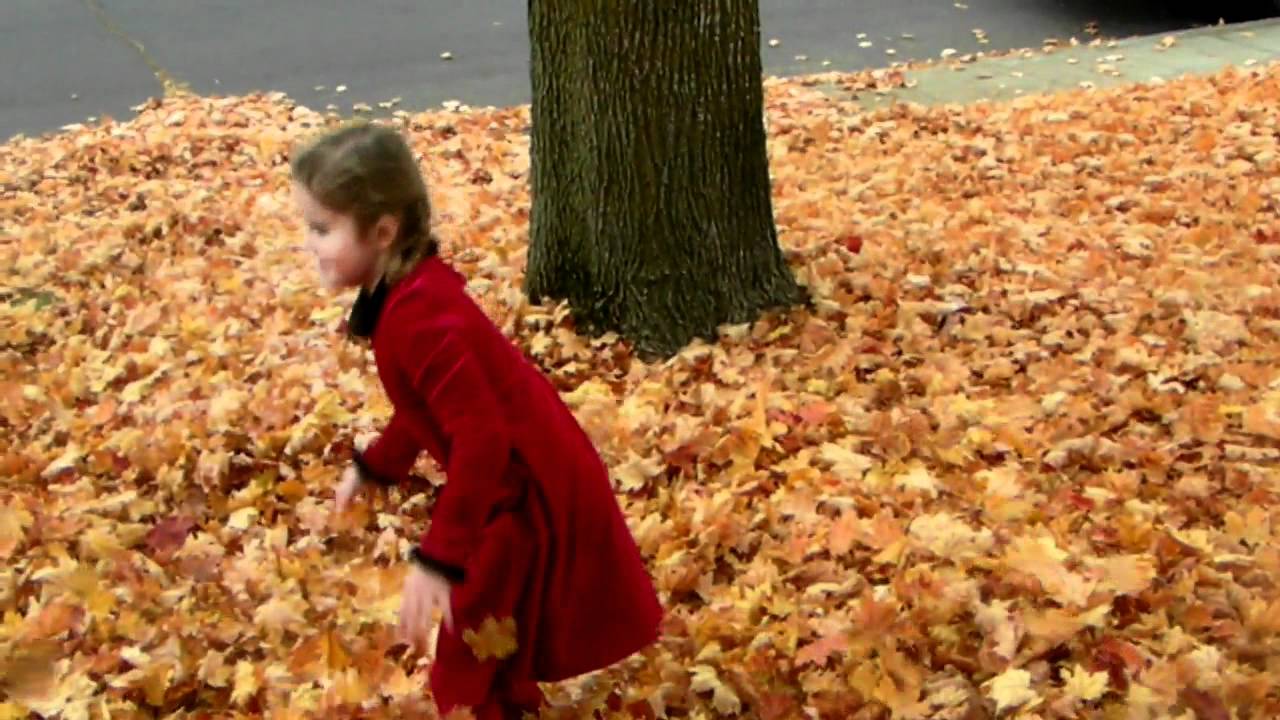 Leaf Fight - YouTube