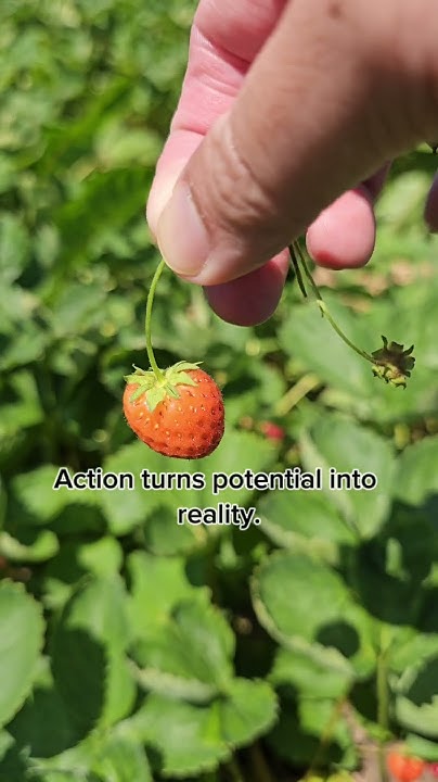 Action turns potential into reality - YouTube