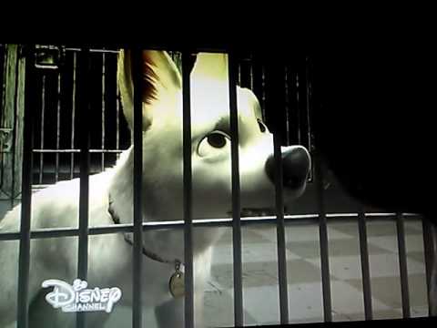 Bolt and Rhino save Mittens (scene from the movie Bolt) - YouTube