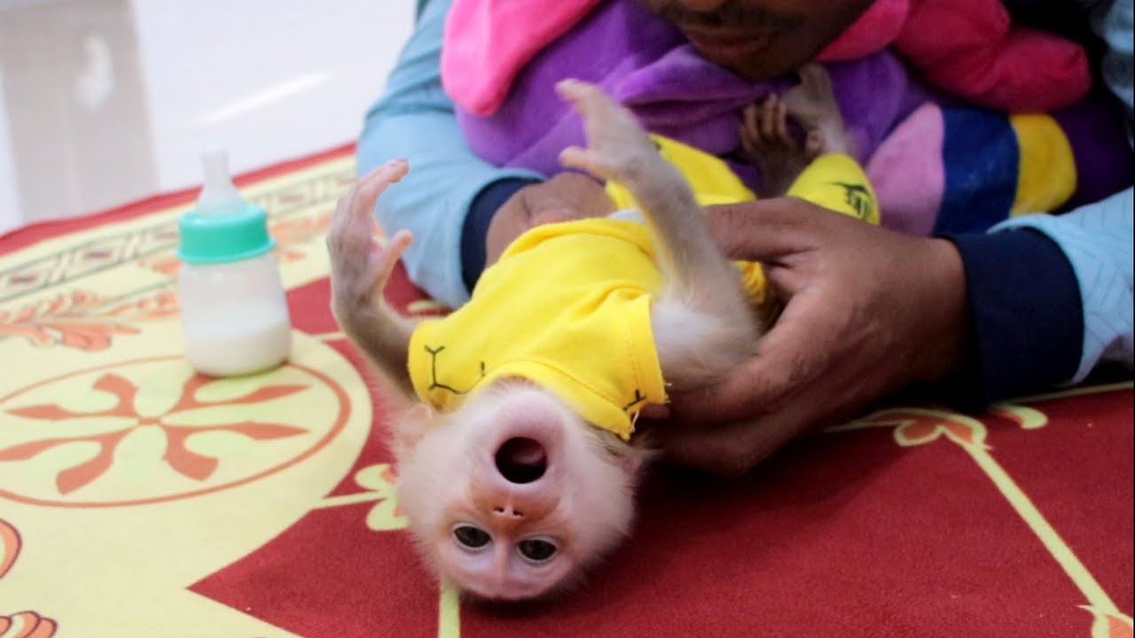 Hilarious Moments - Baby Hailey Expresses Her Love For Dad - It's Great ...