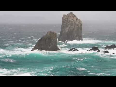 Rahatlatıcı Kısa Deniz Videosu (Sessiz)