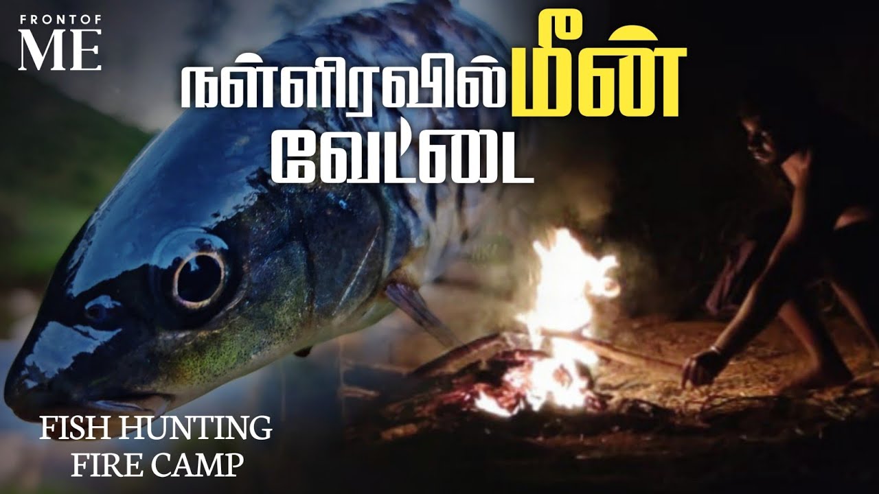 நள்ளிரவு மீன் வேட்டை 💥 Hunting Fish At River Side | Night Time| Fire ...