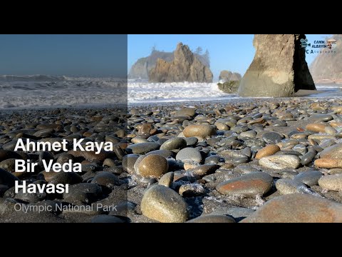 Ahmet Kaya - Bir Veda Havası