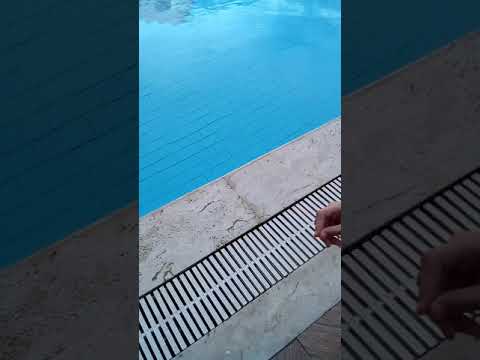 Didar TV.  salyangozlar