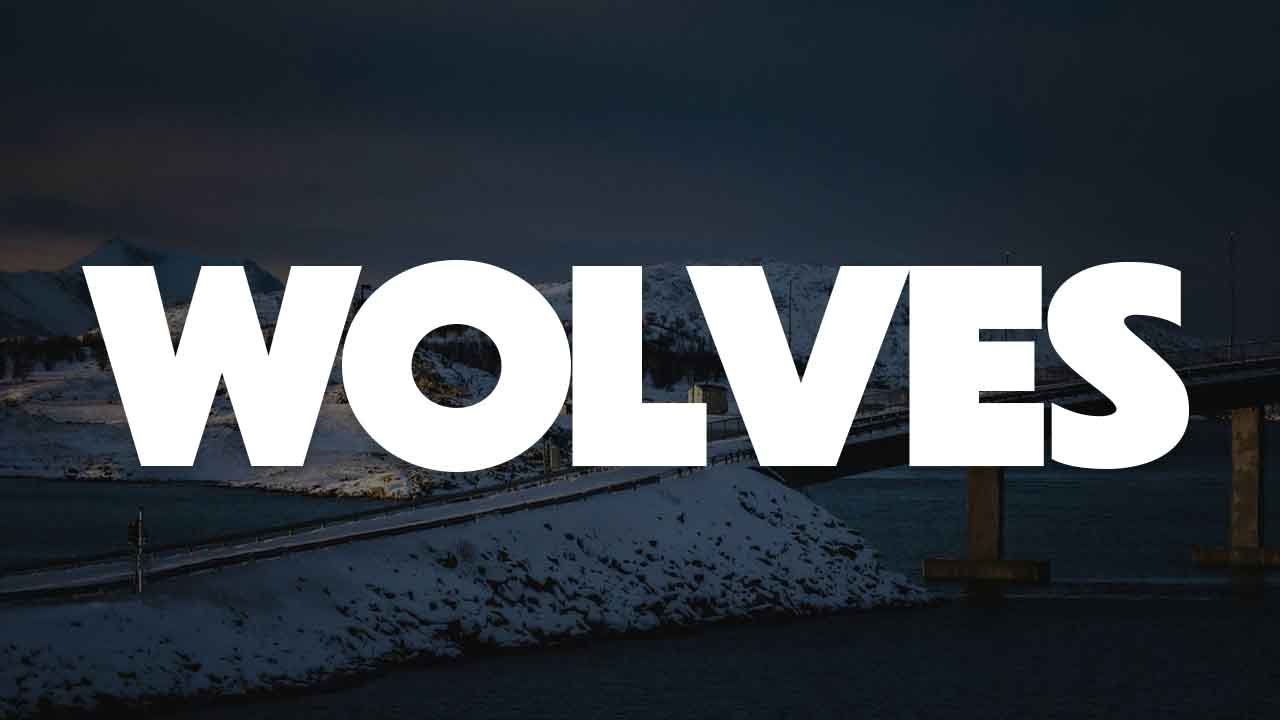 Selena Gomez - Wolves (Lyrics) - YouTube