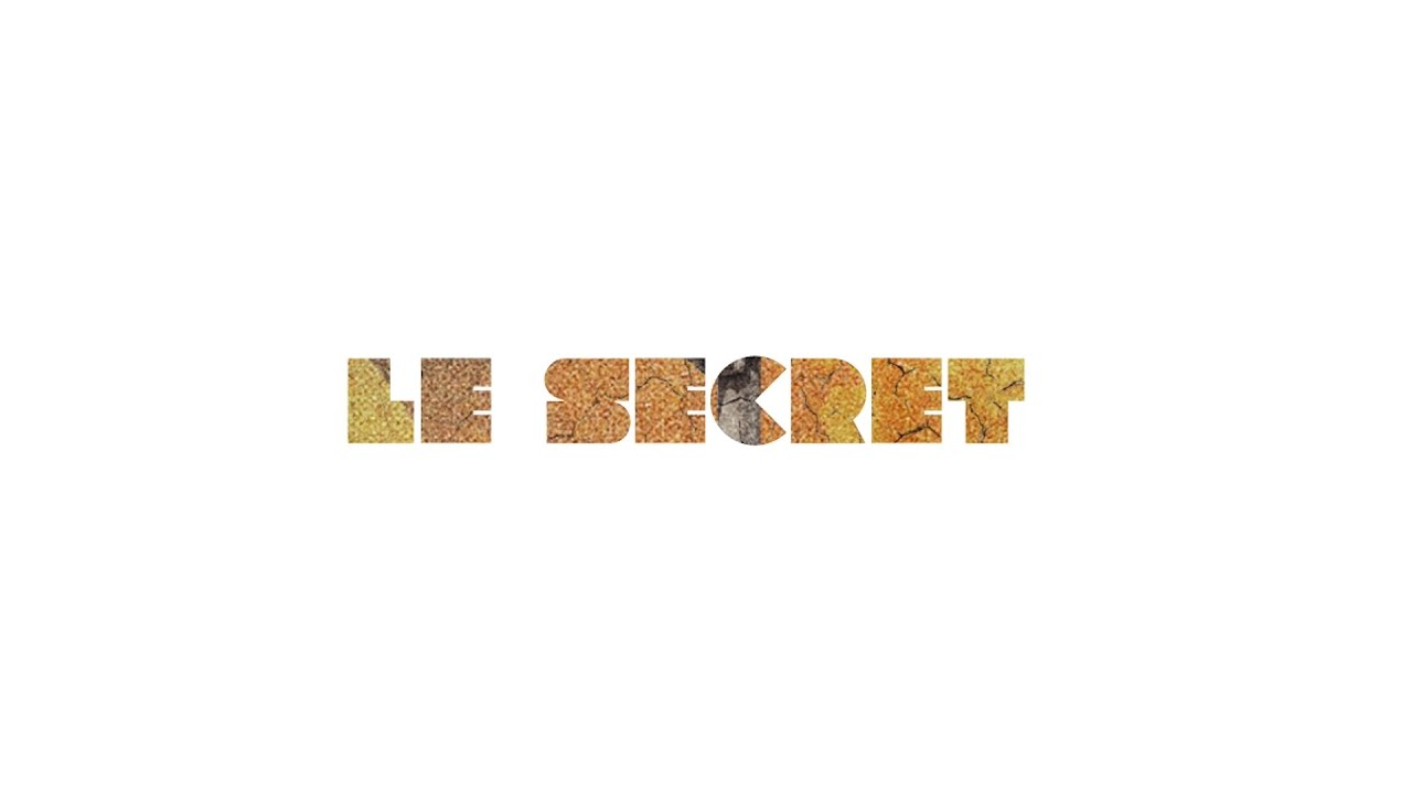 Arthur H - Le secret (Lyrics Video) - YouTube