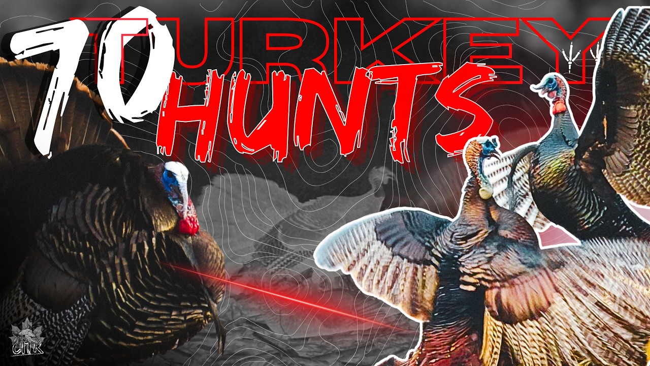 70 EPIC Turkey Hunts in 24 Minutes! | ULTIMATE Hunting Compilation ...