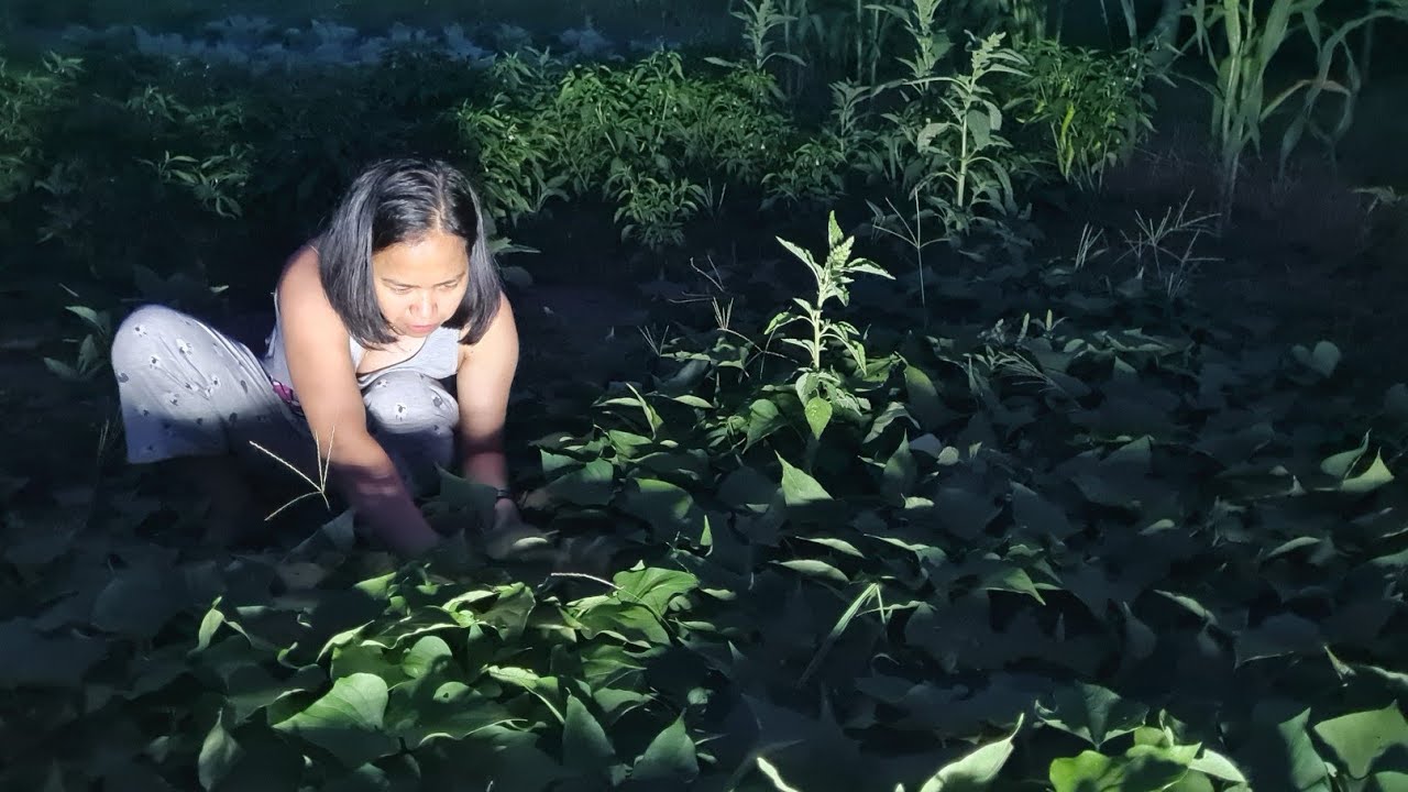 LAST NIGHT NI ENDAY FLORAMAE NAG GRILL KAMI AFTER HARVESTING VEGESTABLES. - YouTube