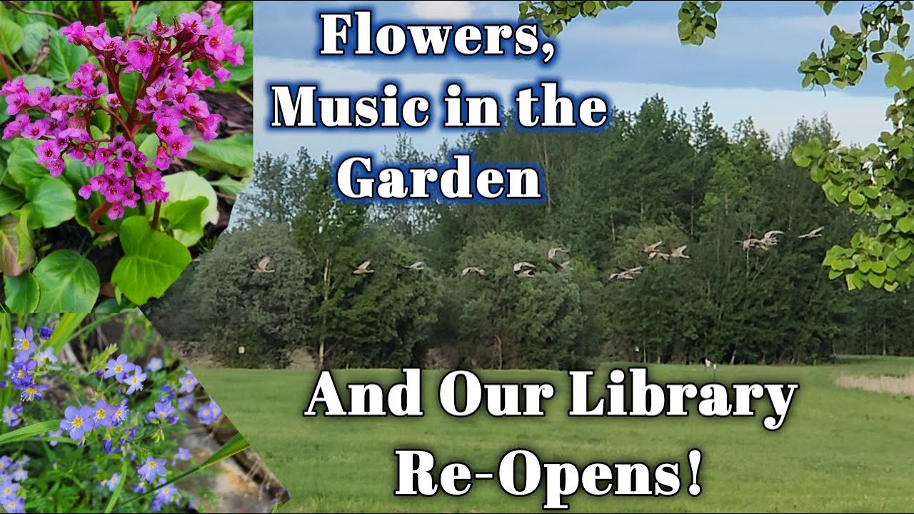 Flowers, Gardens and a Newly Renovated Library Re-opens after a year ...