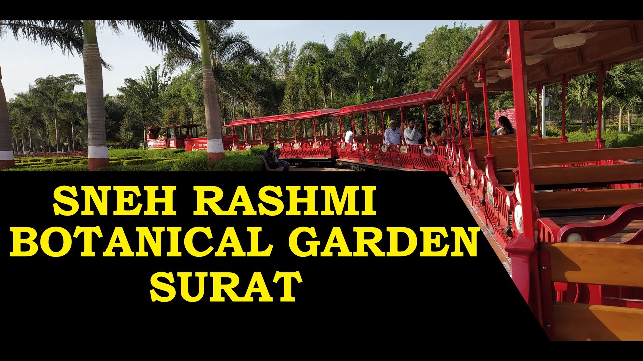 Toy Train in Sneh Rashmi Botanical Garden Surat - Ugat Garden Surat ...