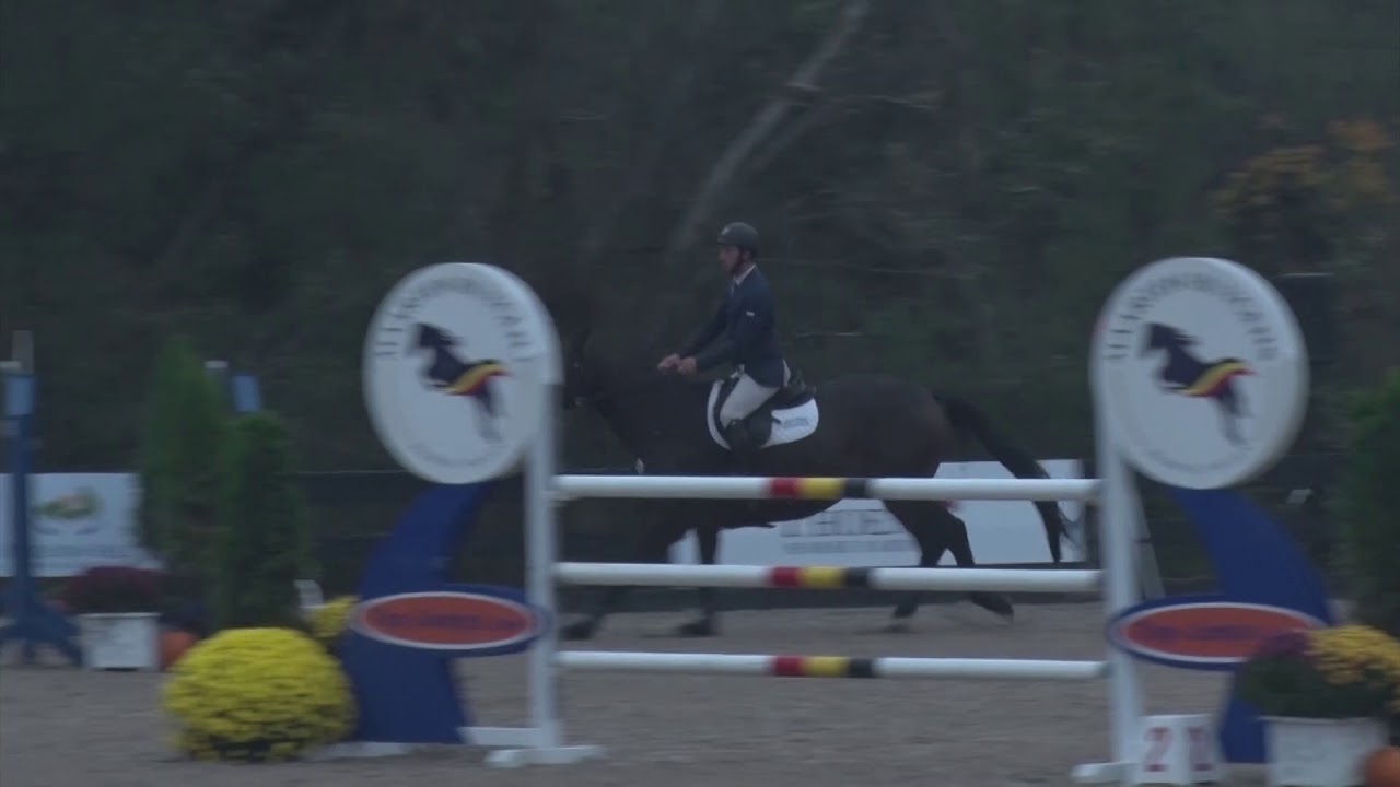 181008 Pheonix Farms Welcome David Tromp on Go Go Nabab Jump Off - YouTube