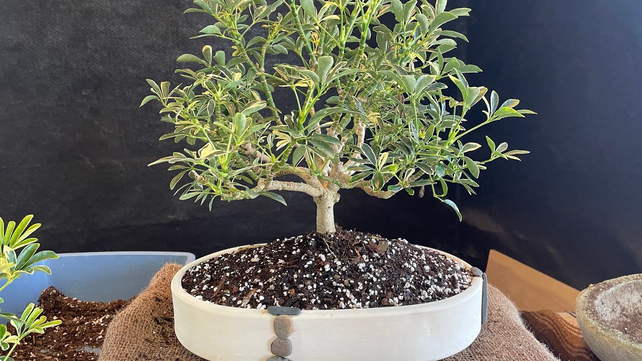 fixing pots with rocks and epoxy - YouTube