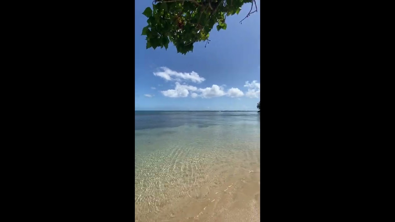 Playa las Picúas en Río Grande, Puerto Rico - YouTube