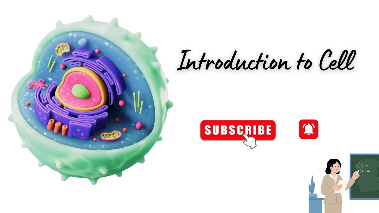 CELLULAR LEVEL OF ORGANIZATION - YouTube