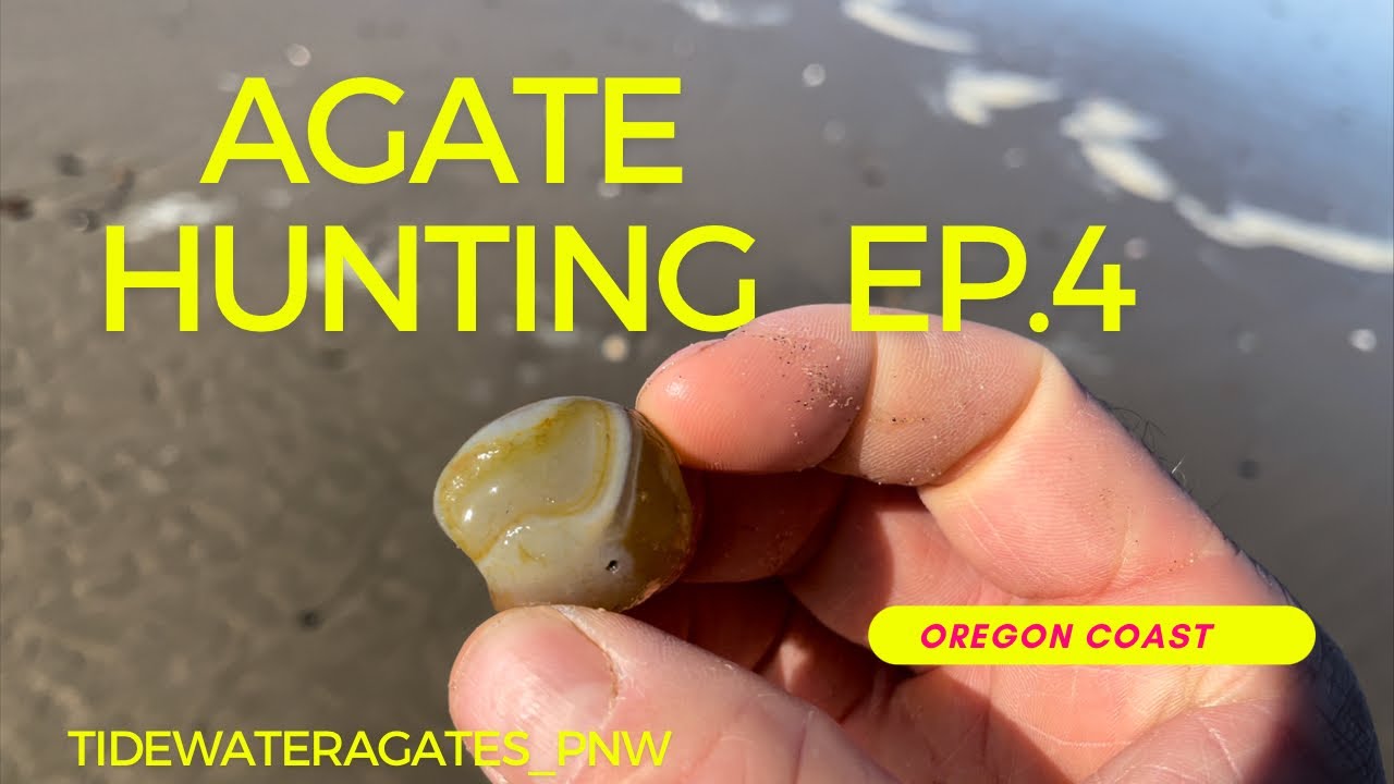 Agate Hunting(Oregon Coast) Ep.4 - YouTube