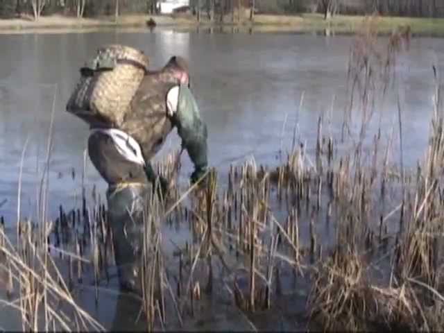 Making A Muskrat Colony Trap