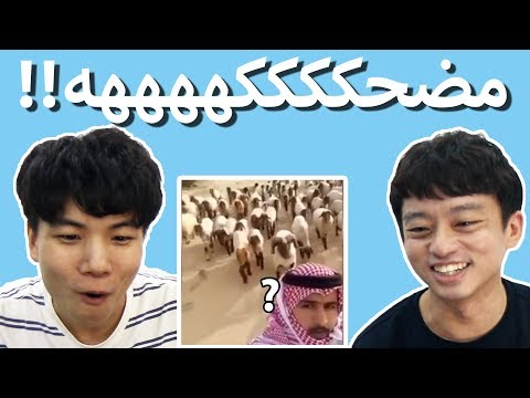 رد فعل كوري على الفيديو المضحك العربي | Korean react to Arab Funny Video
