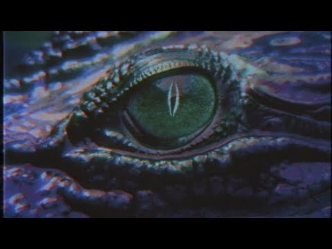 9TAILS - chillax
