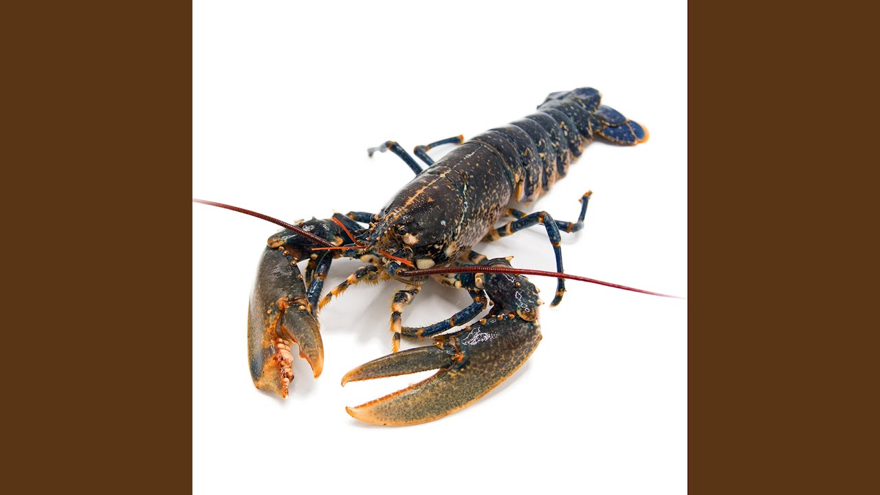 KALE BORROKA - Leonor De Borbón - YouTube