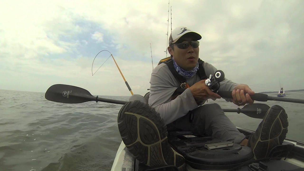 Kayak Trophy Shark - YouTube