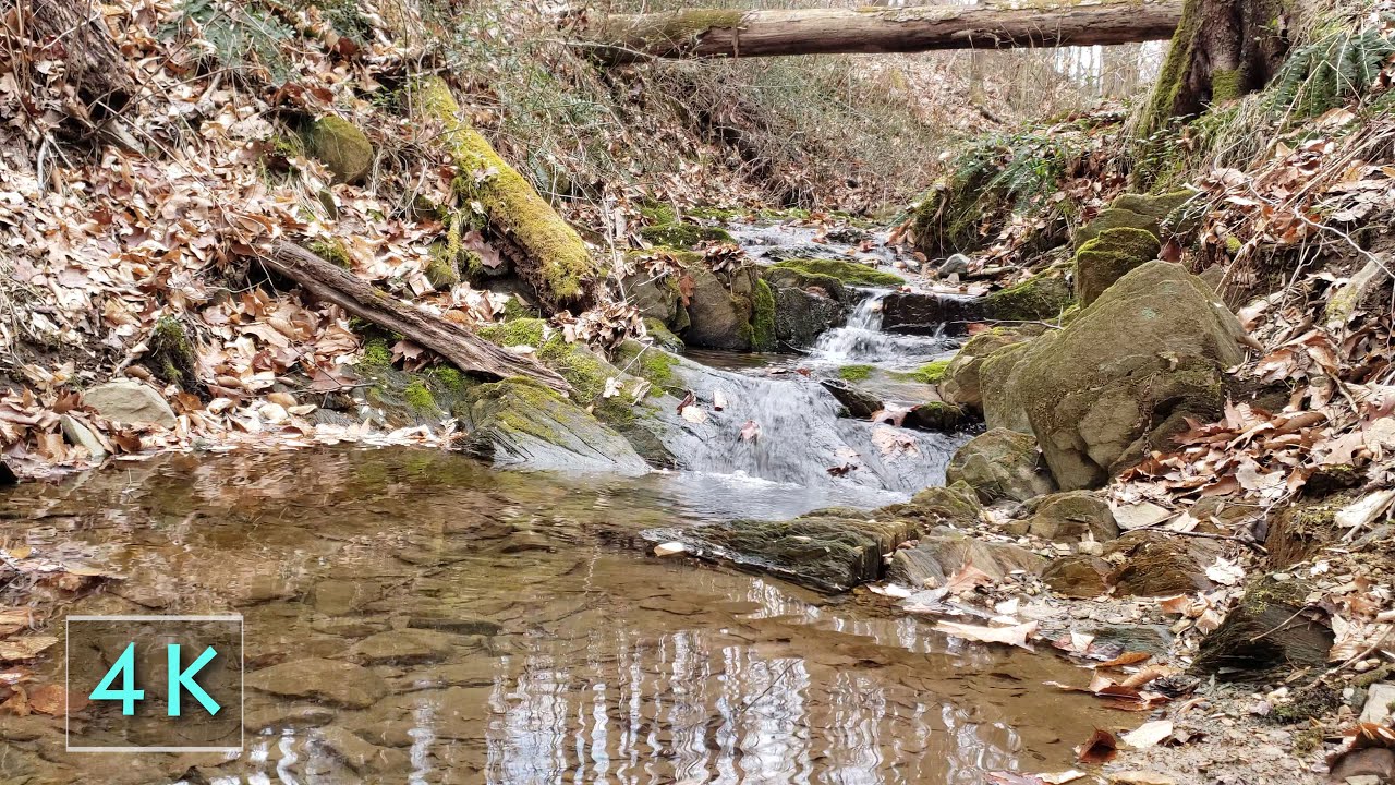 Brook Flowing Between Rocks - Log Bridge - 10 Hours Water Sounds ...