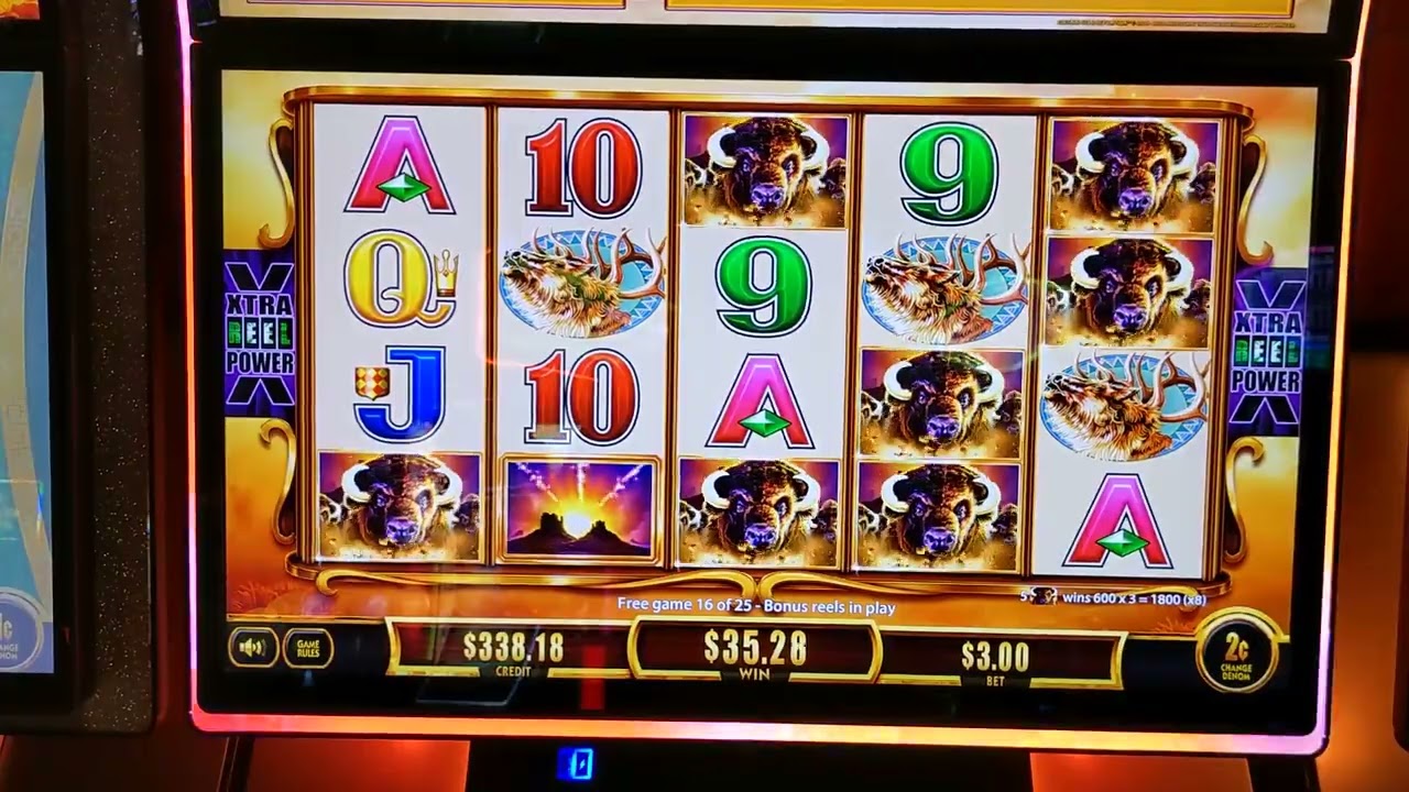 Rare Win! Buffalo Gold Revolution slot machine with 30 free games ...