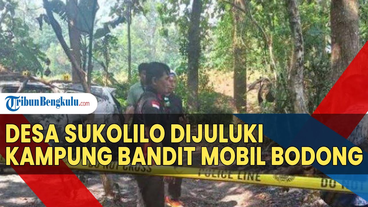 Sarang Mobil Bodong, TERBONGKAR Fakta Desa Sukolilo Dijuluki Kampung ...