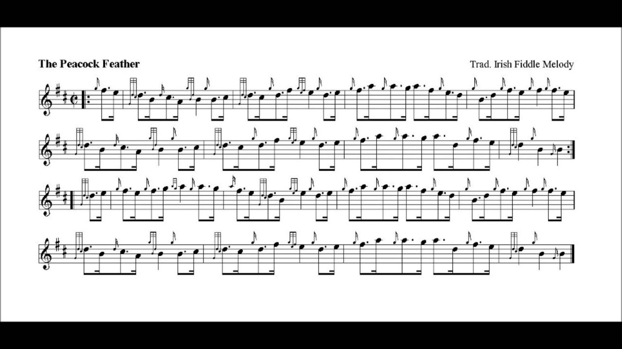 Peacock Feather, The. An old Irish fiddle tune in a bagpipe setting ...