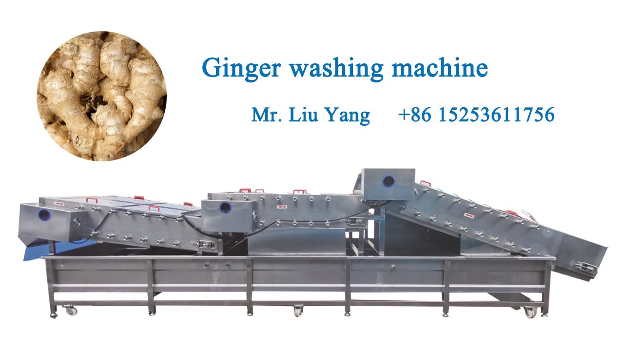 Ginger washing machine 20230710 - YouTube