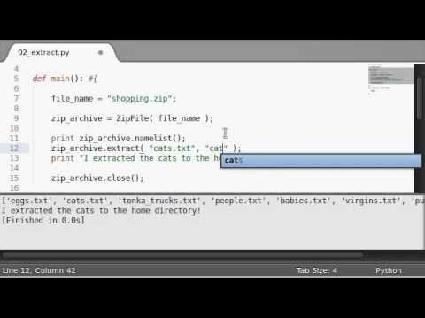 Python [zipfile] 03 Extracting Babies - YouTube