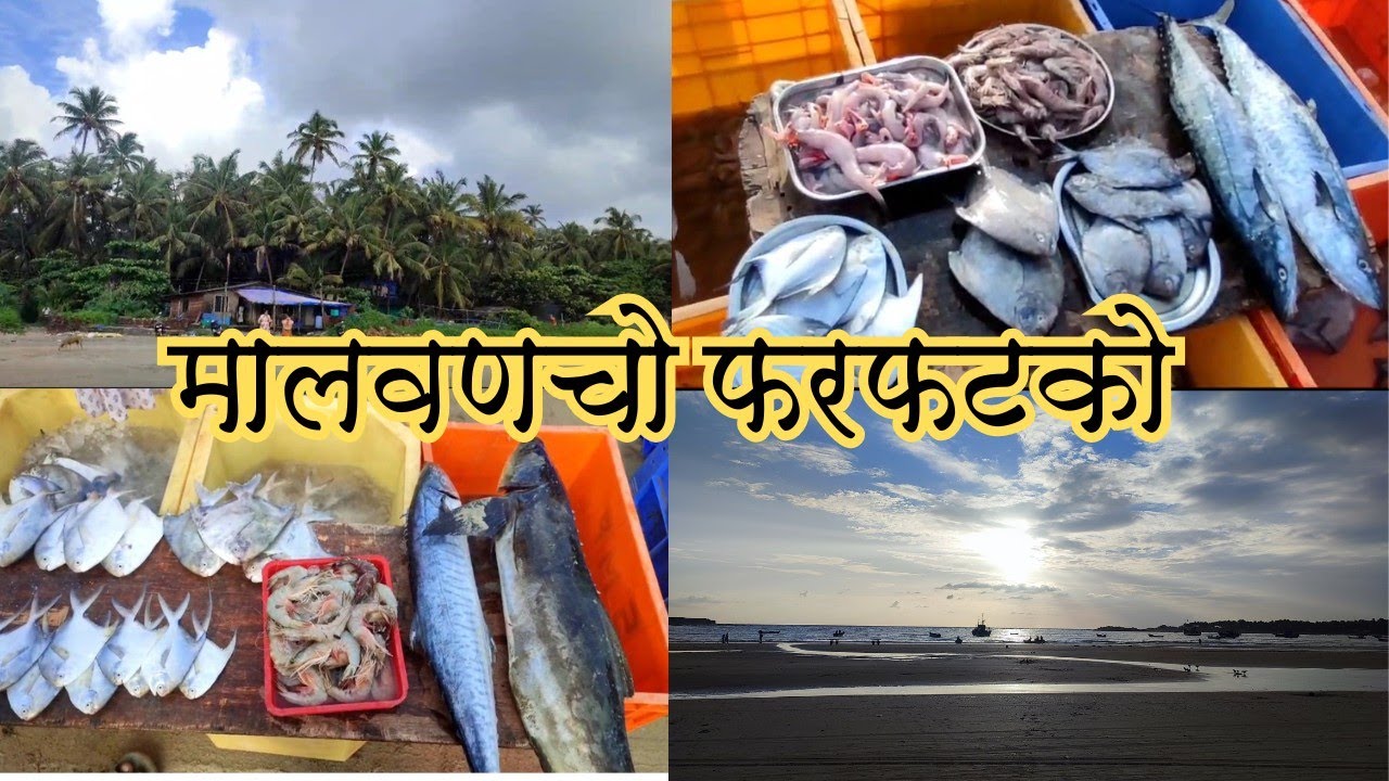 मालवणमधील माश्यांचा लिलाव आणि मासे विक्री | Malvan fish auction | मालवण ...