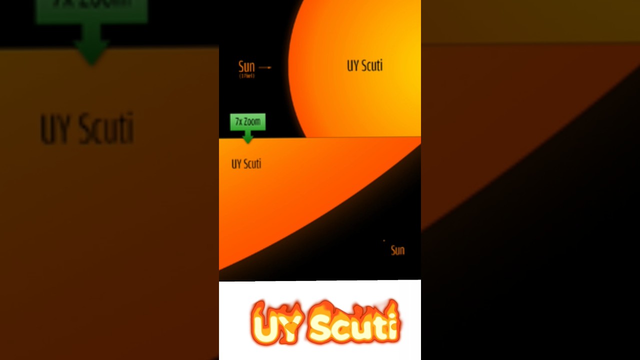 Sun vs UY Scuti #short #sun - YouTube
