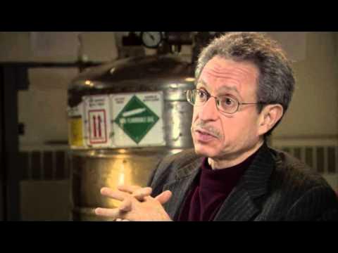 Seth Lloyd - What Makes the Universe Fascinating? - YouTube