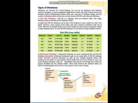 Class 8: Database Management System 2 - YouTube