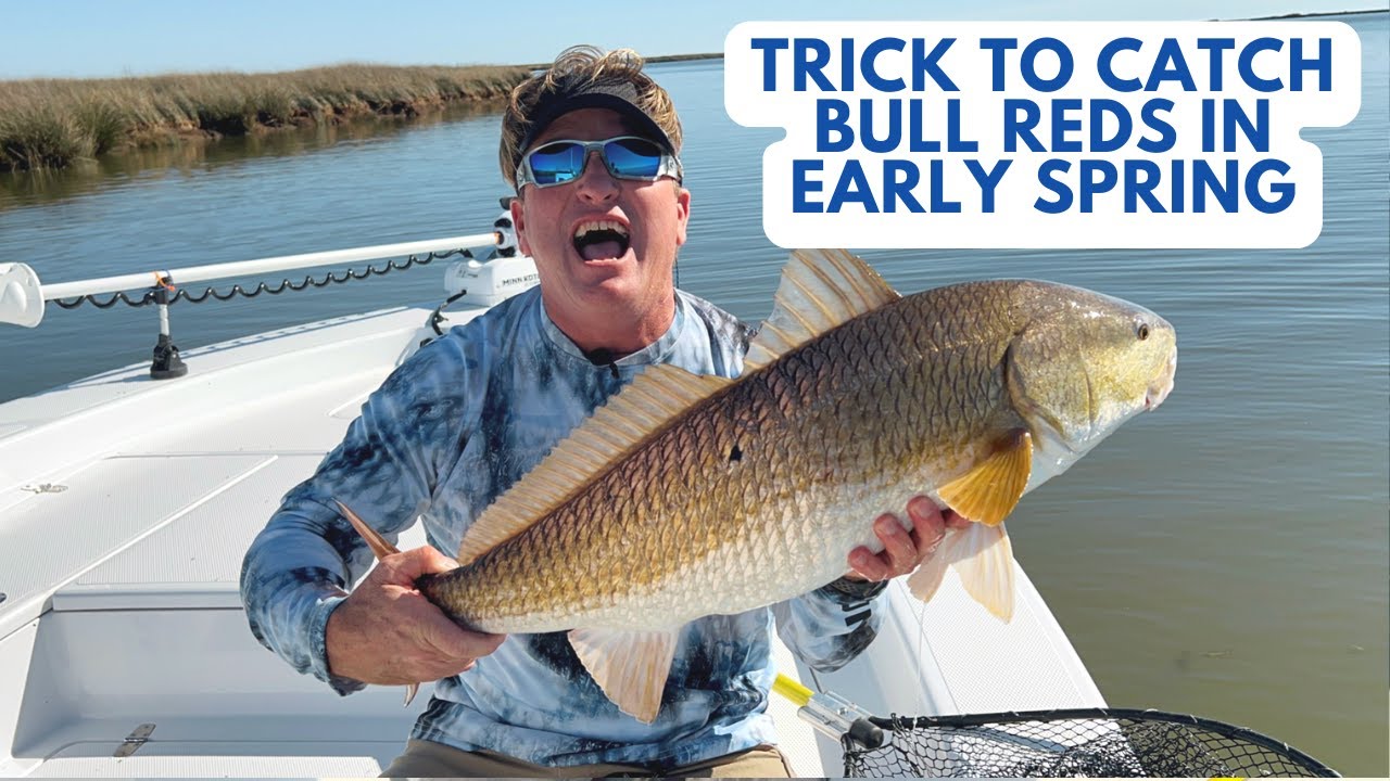 Trick to Catch Bull Redfish in Early Spring! - YouTube