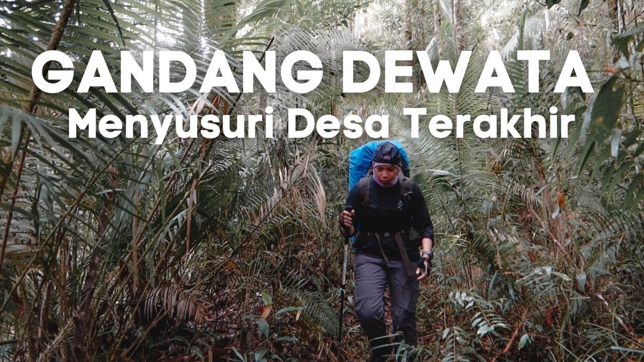 Gunung Gandang Dewata #1 | Trek Panjang di Belantara Sulawesi - YouTube