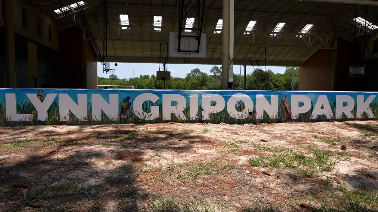 New Mural at Lynn Gripon Park at Countryside - YouTube