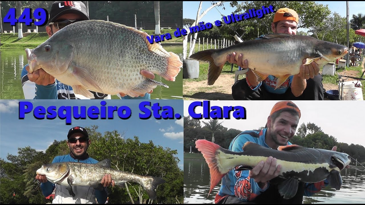 Diversão na pescaria leve no Pesqueiro Santa Clara com muitos peixes ...