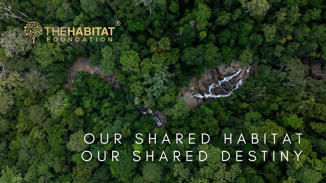 THF Corporate Video (2024): Our Shared Habitat, Our Shared Destiny ...
