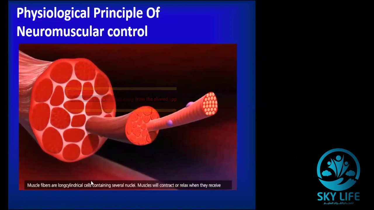Neural Mobilization for upper limb - YouTube