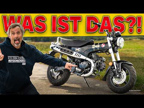 HONDA DAX ST 125CCM 2026 MOTORRAD TEST