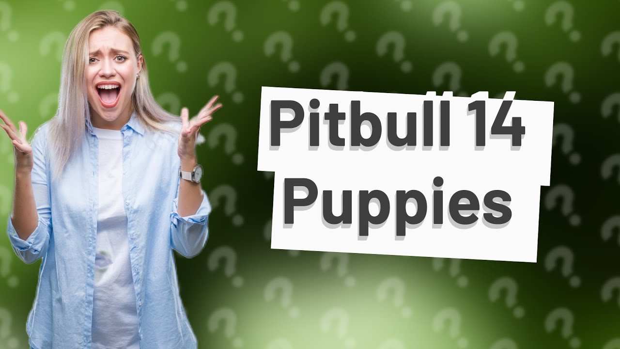 Can a Pitbull have 14 puppies? - YouTube
