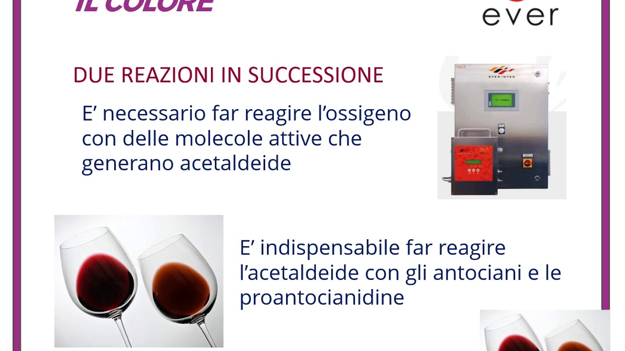 stabilizzare il colore nei vini rossi - YouTube