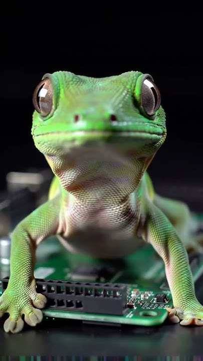 Arduino Uno + Animal - YouTube