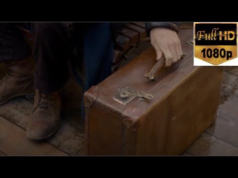 Fantastik Canavarlar Nelerdir Nerede Bulunurlar | Başlangıç |