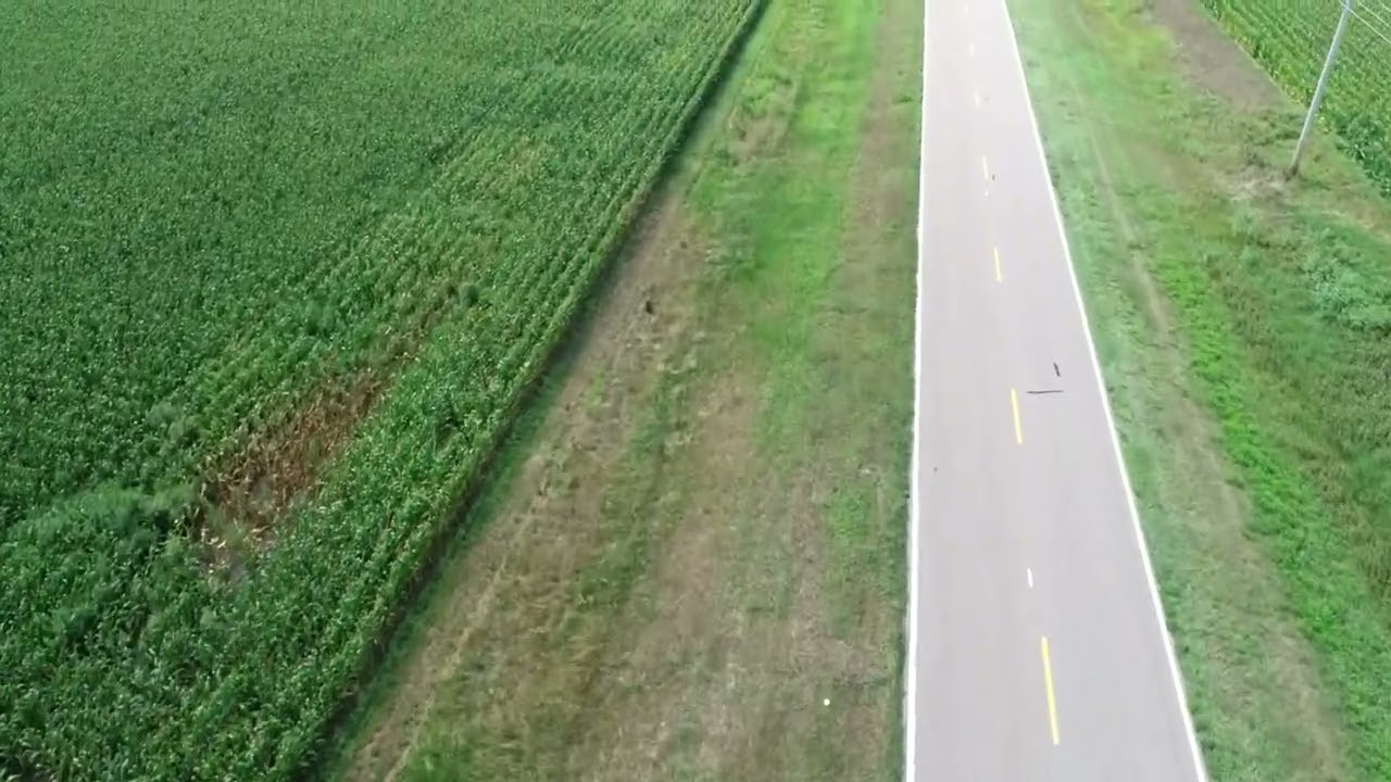 Ditch Drainage Check 2 - YouTube