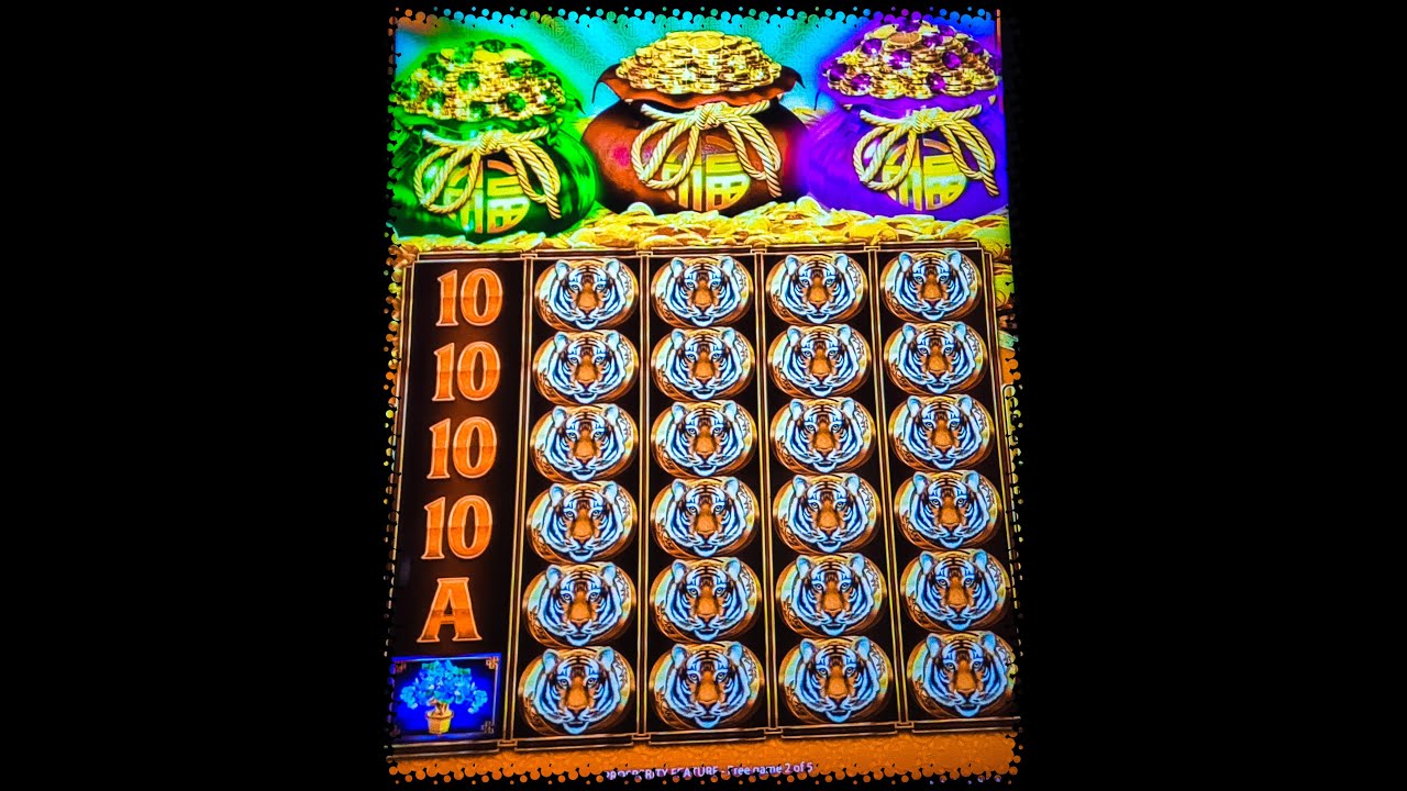 WHEN CHASING LONGEVITY BOOST GOES WRONG!!!😲 FU DAI LIAN LIAN TIGER AND ...